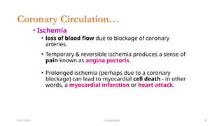 CVS physiology ( med ).pptx . physiology | PPTX
