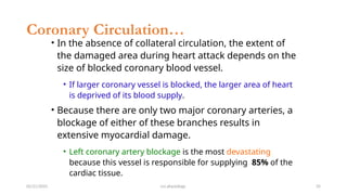 CVS physiology ( med ).pptx . physiology | PPTX
