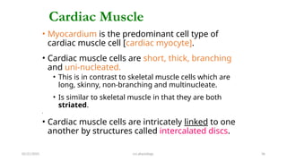 CVS physiology ( med ).pptx . physiology | PPTX