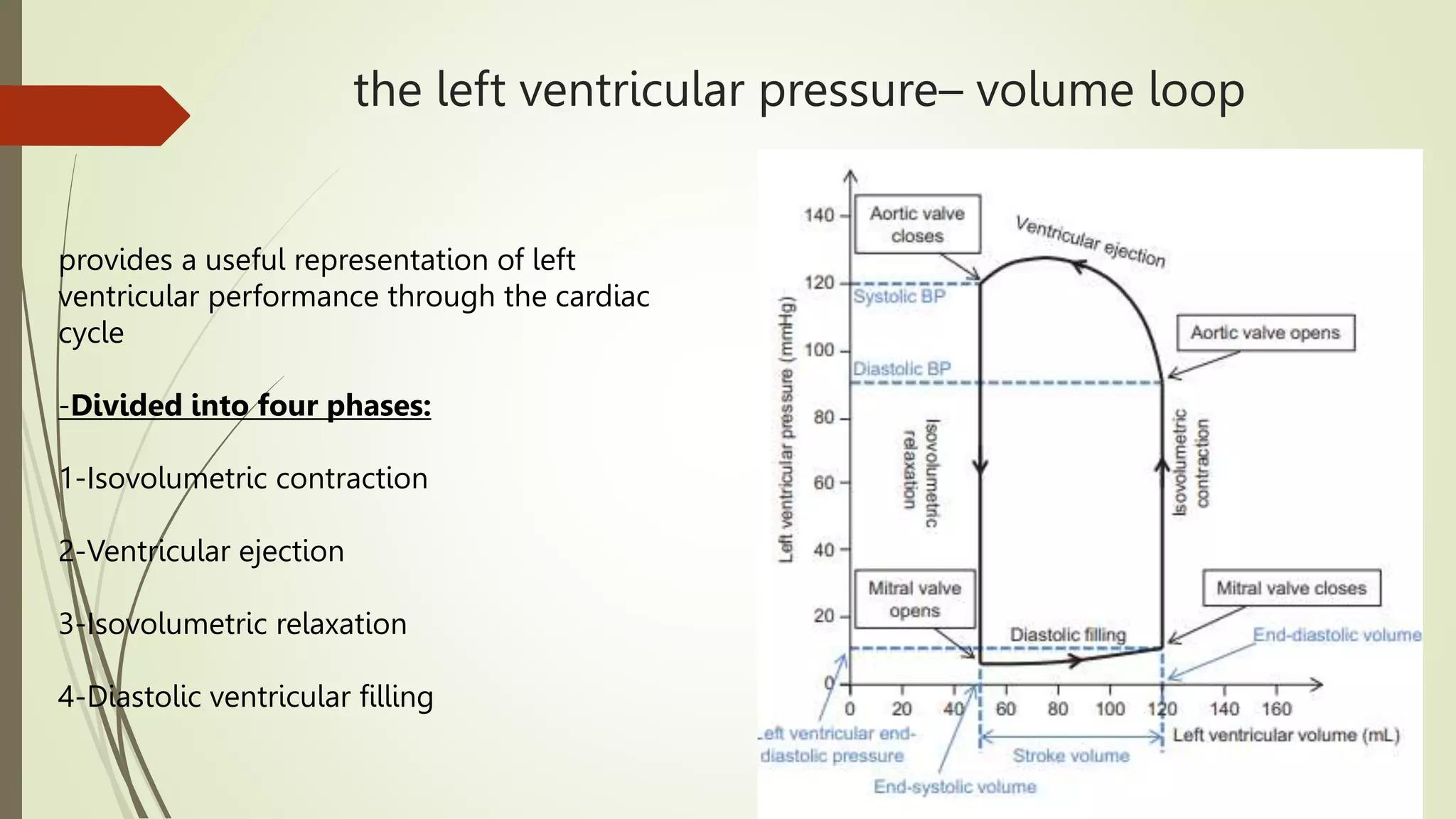 cvs physiology part1.pptx