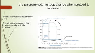 cvs physiology part1.pptx