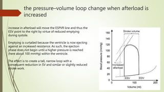 cvs physiology part1.pptx
