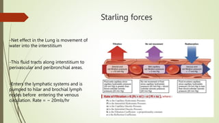 cvs physiology part1.pptx