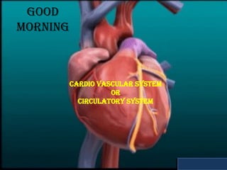 General anatomy of vascular system With clinical applications | PPTX