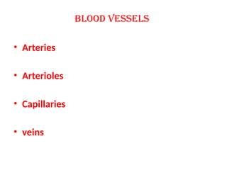 General anatomy of vascular system With clinical applications | PPTX