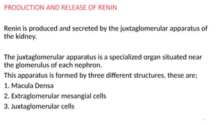 Cardiovascular system Presentation Amended lecture note | PPTX