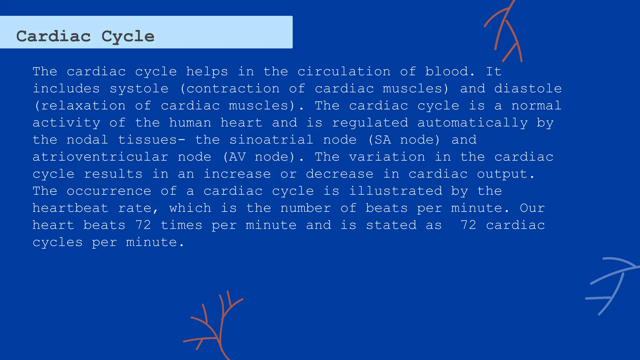 cardiovascular system presentation. pptx | PPTX