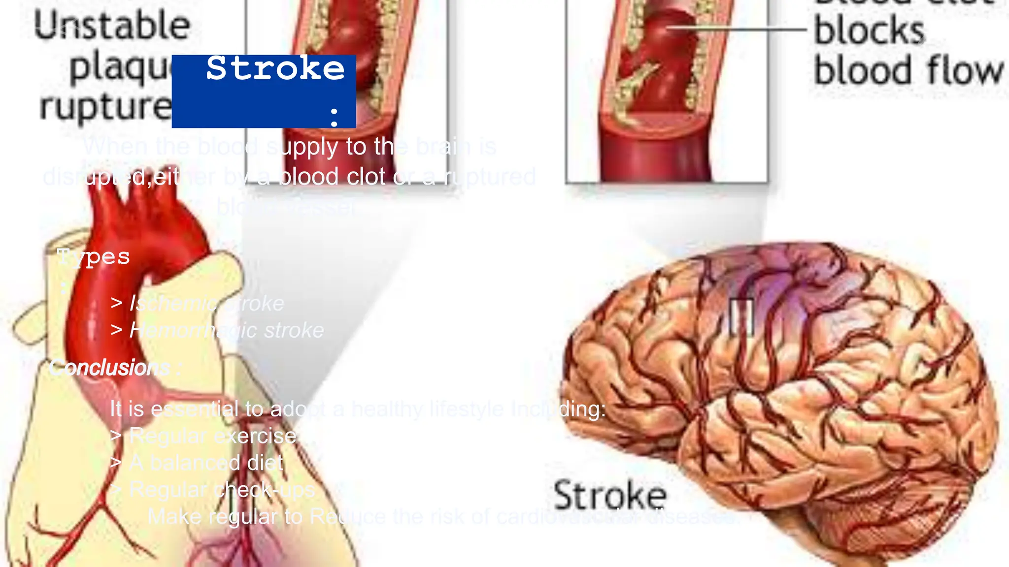 cardiovascular system presentation. pptx | PPTX