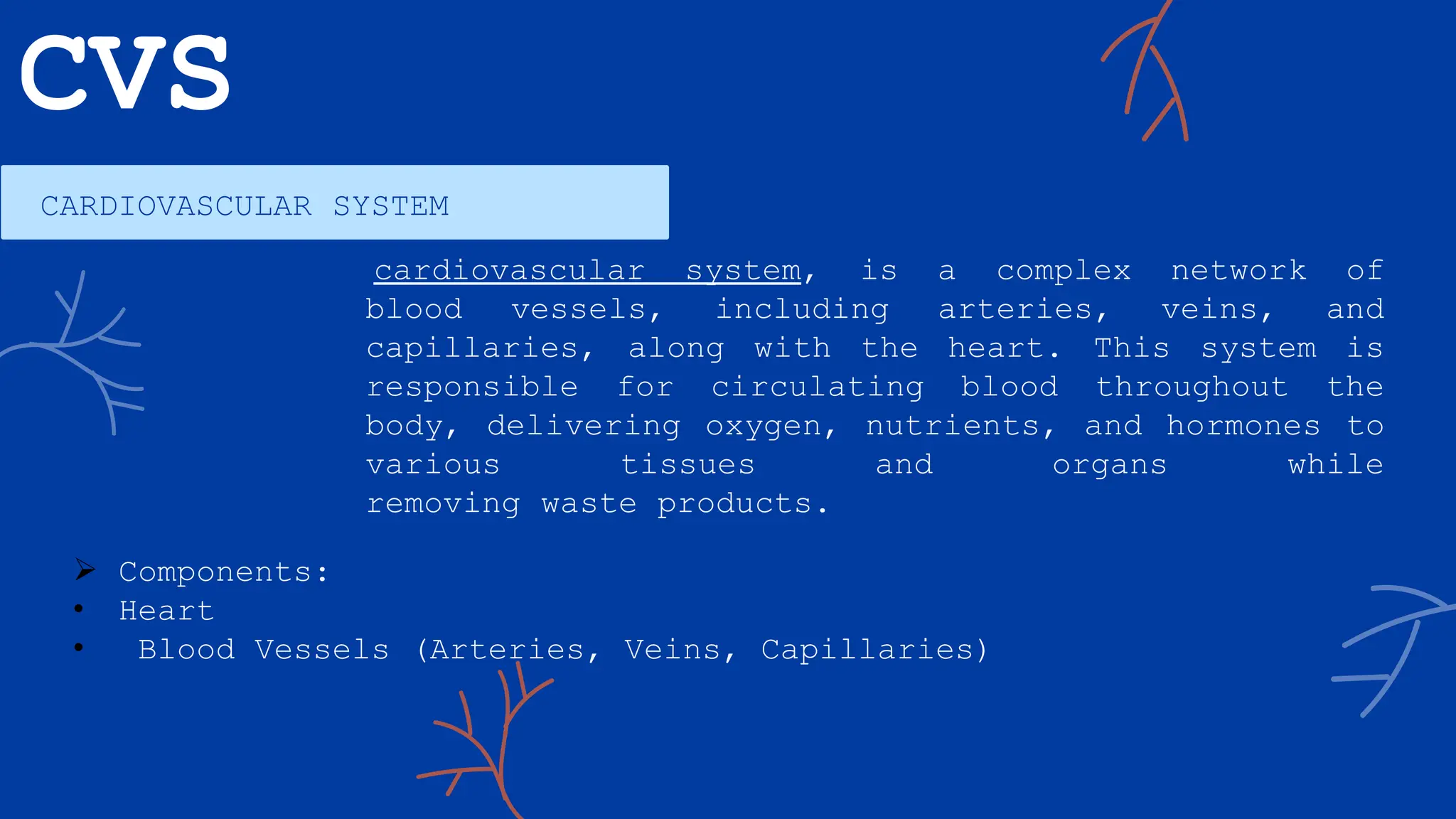 cardiovascular system presentation. pptx | PPTX