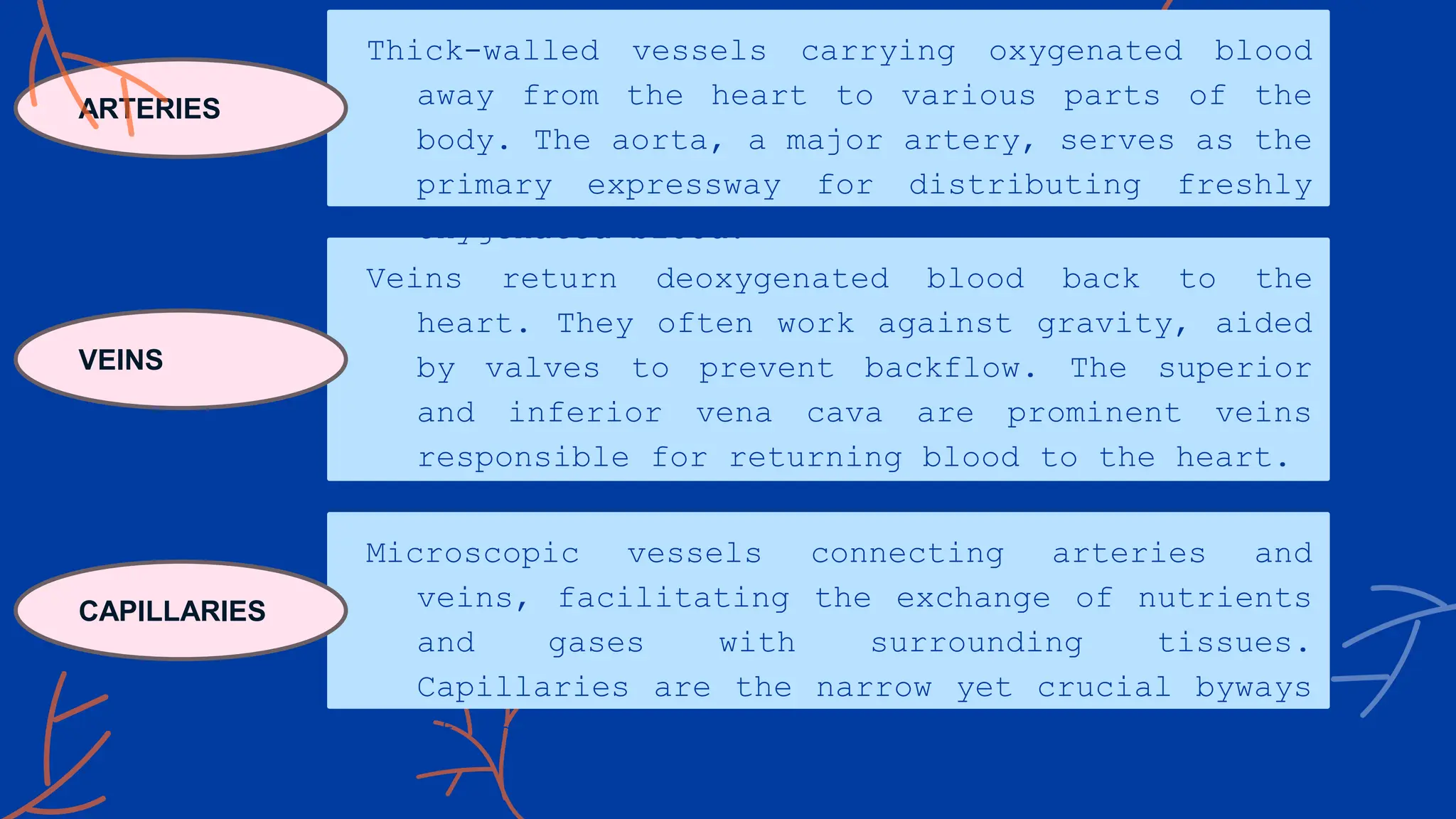 cardiovascular system presentation. pptx | PPTX