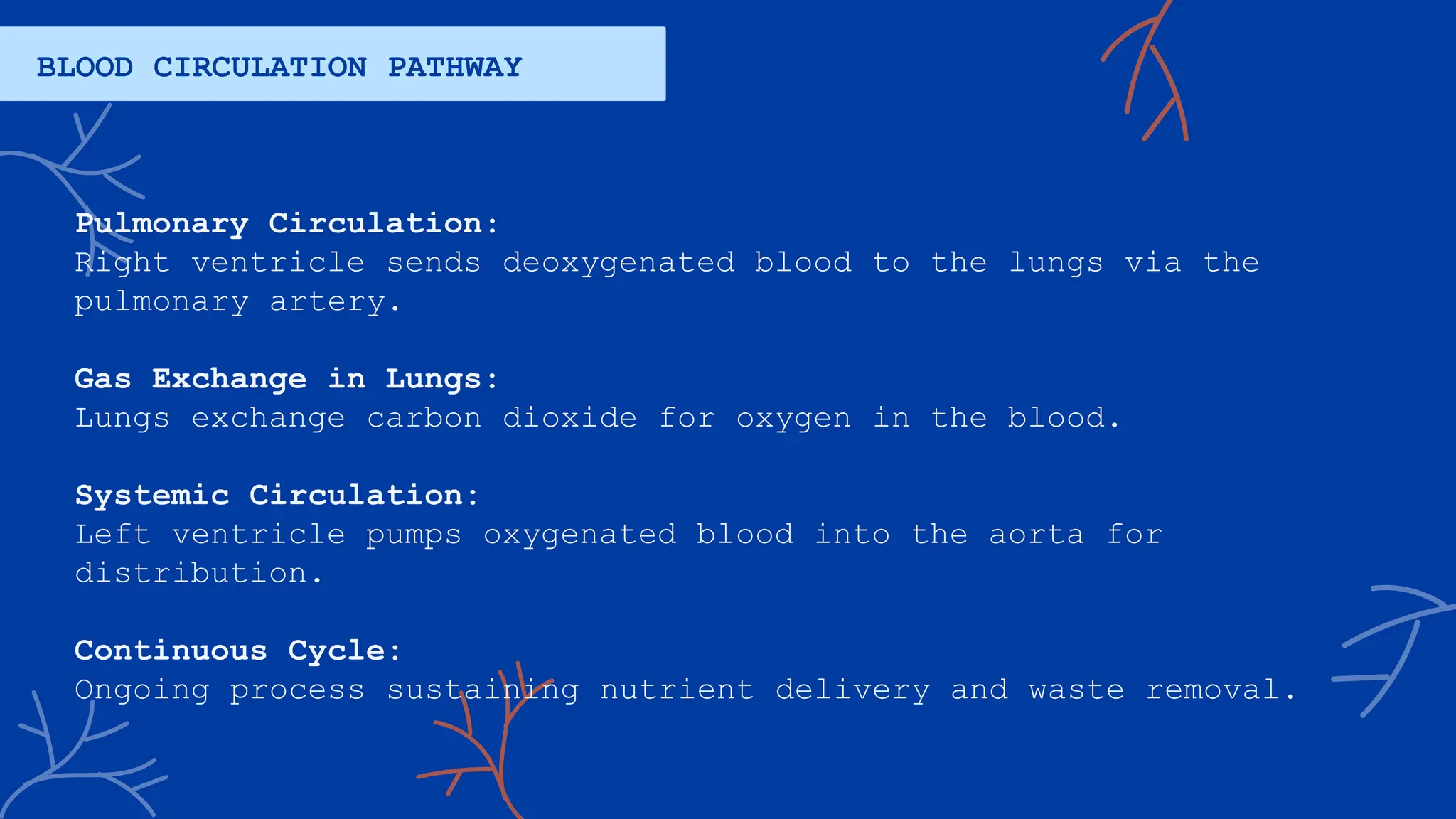 cardiovascular system presentation. pptx | PPTX
