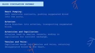 cardiovascular system presentation. pptx | PPTX