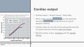 cvs exercise physiology part 2 adap.pptx