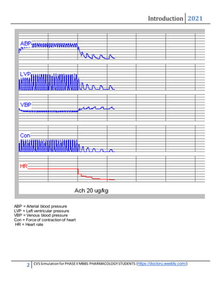 CVS simulation introduction | DOCX