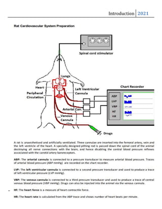 CVS simulation introduction | DOCX
