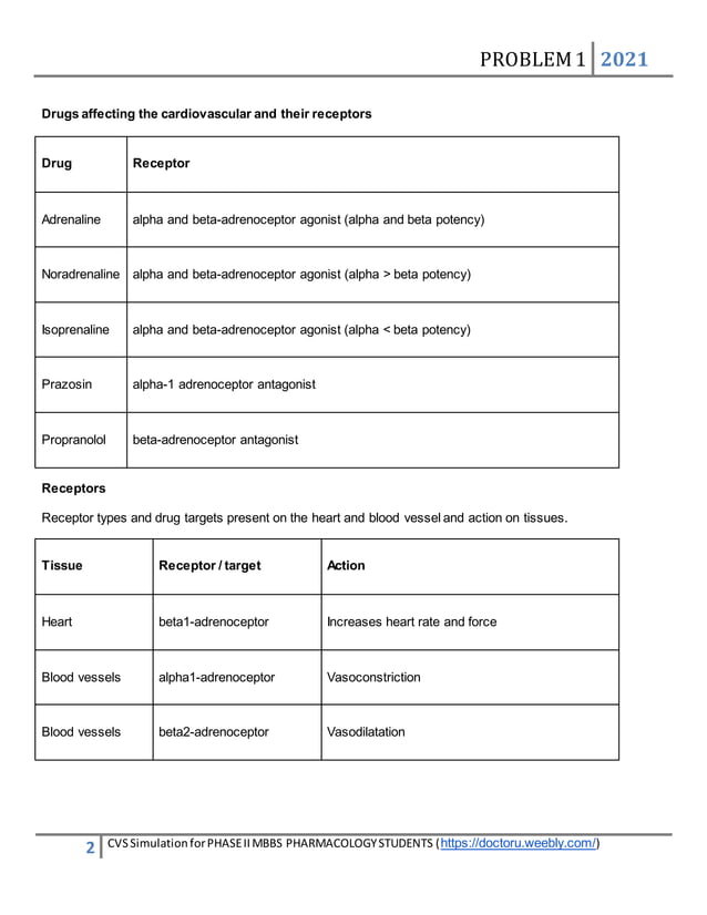 CVS simulation problem 1 | PDF