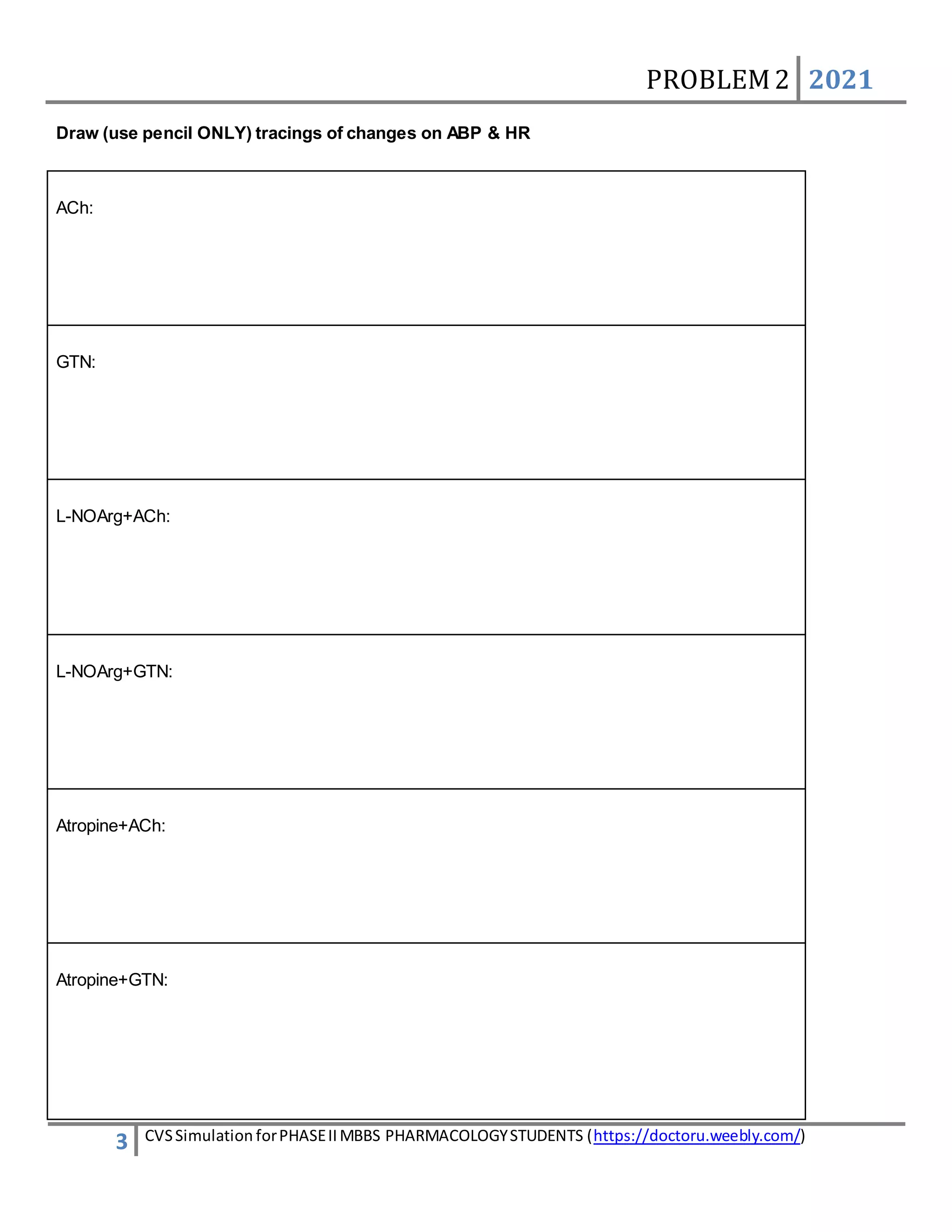 CVS simulation problem 2 | DOCX