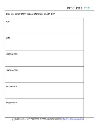 CVS simulation problem 2 | DOCX