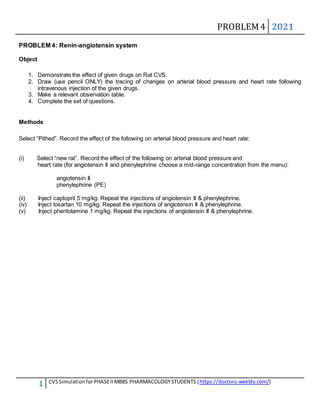 CVS simulation problem 4 | DOCX