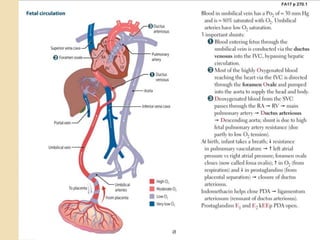 Approach to Pediatric Cardiovascular diseases.pptx