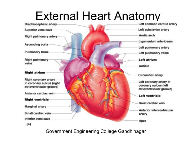 Cvs system by amar.aniruddhsinh,nirmal (d2 d)2017 copy