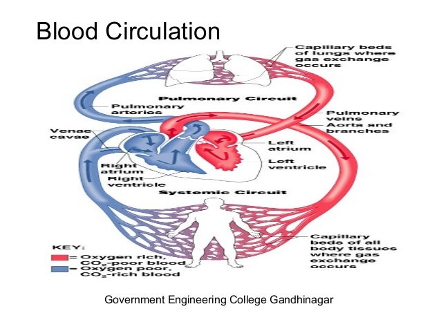Cvs system by amar.aniruddhsinh,nirmal (d2 d)2017 copy