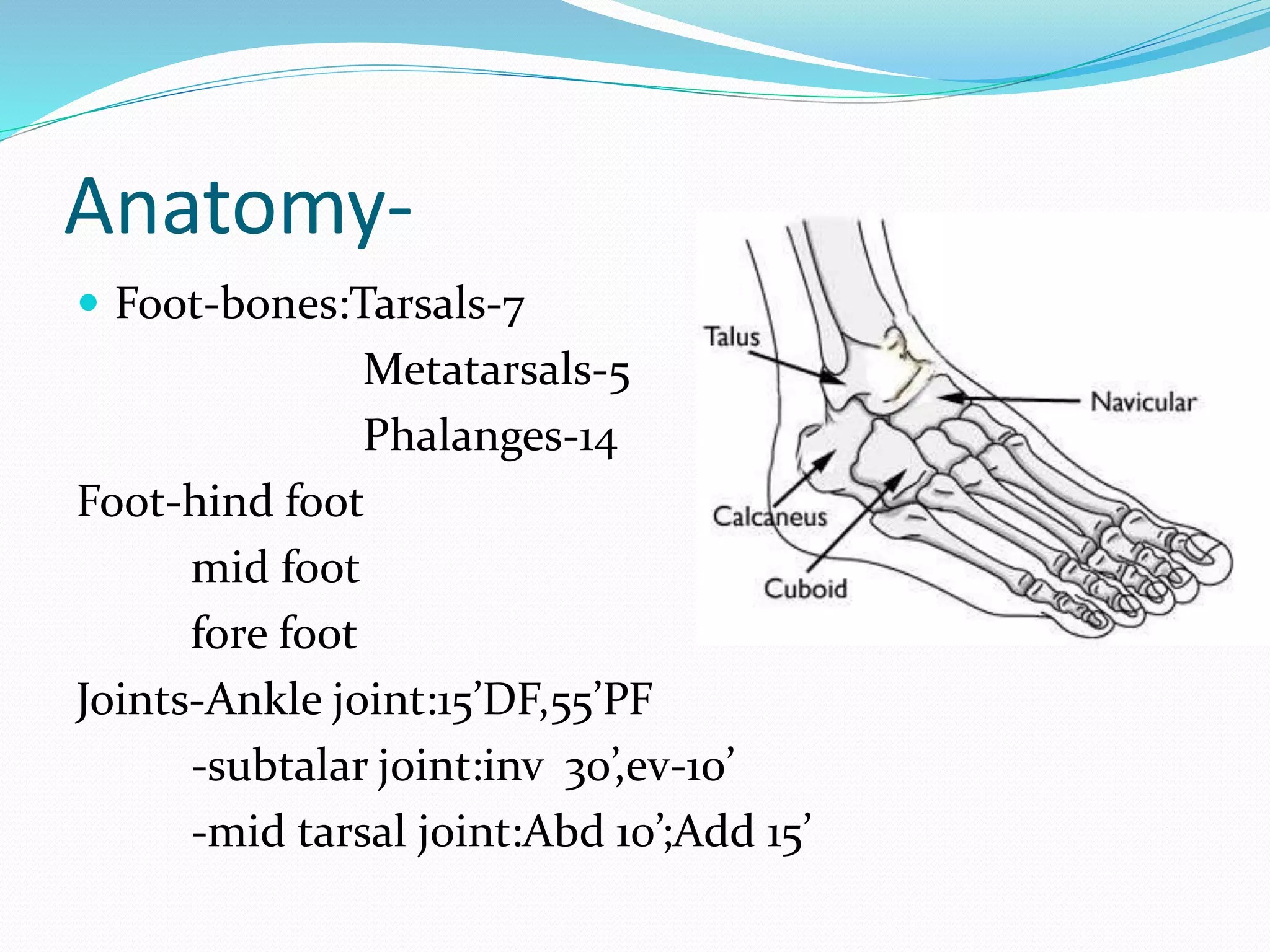 Congenital vertical talus | PPTX
