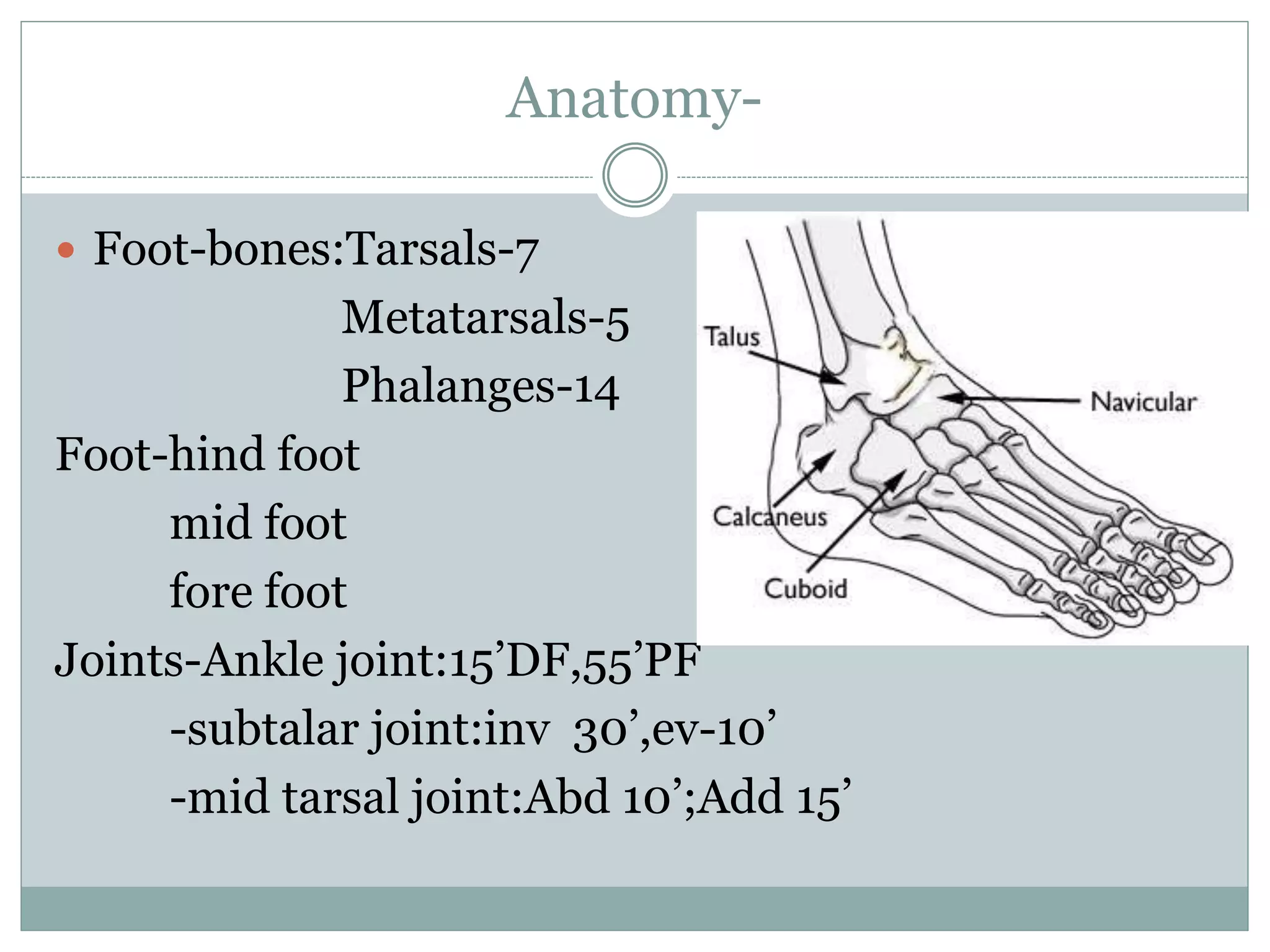 Congenital vertical talus BY DR.NAVEEN RATHOR | PPTX