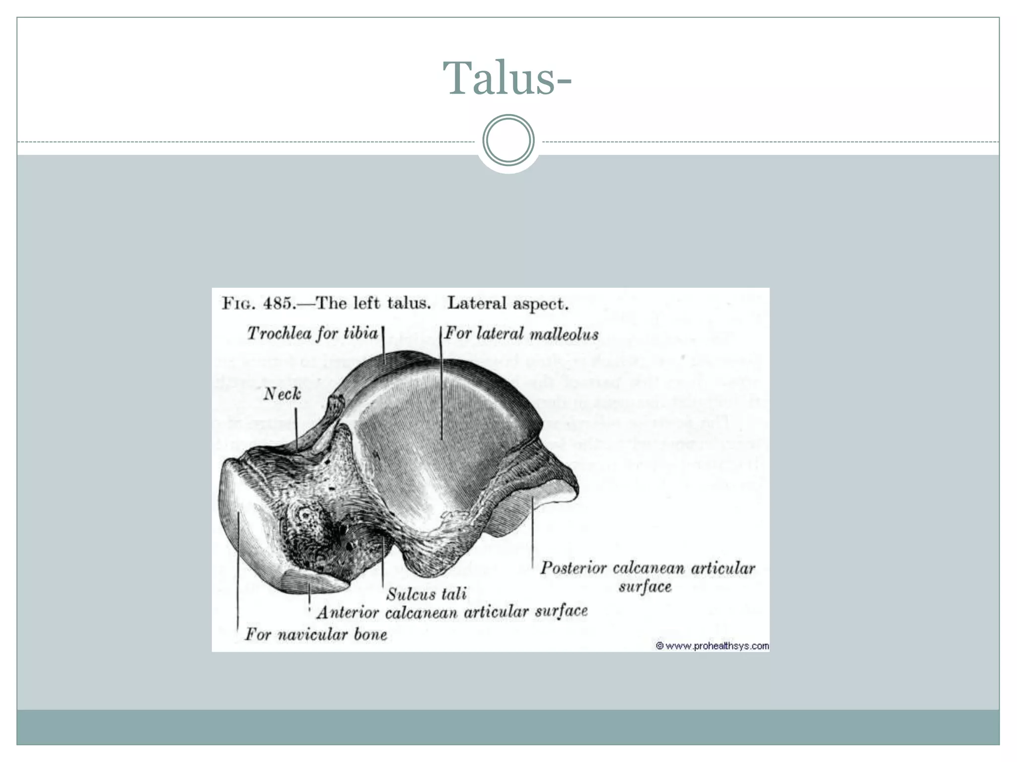 Congenital vertical talus BY DR.NAVEEN RATHOR | PPTX