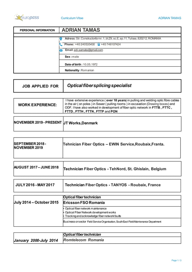 Cv tamas adrian | PDF