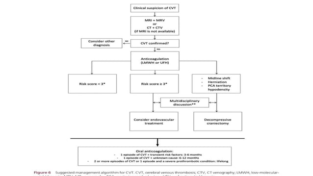 cerebral venous sinus thrombosis CNS.pptx