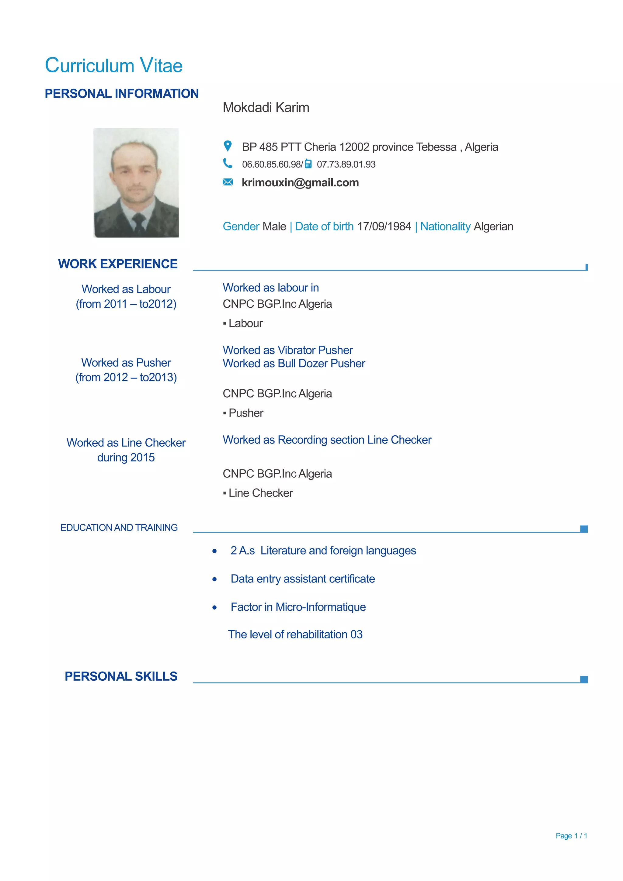 Cv template | PDF