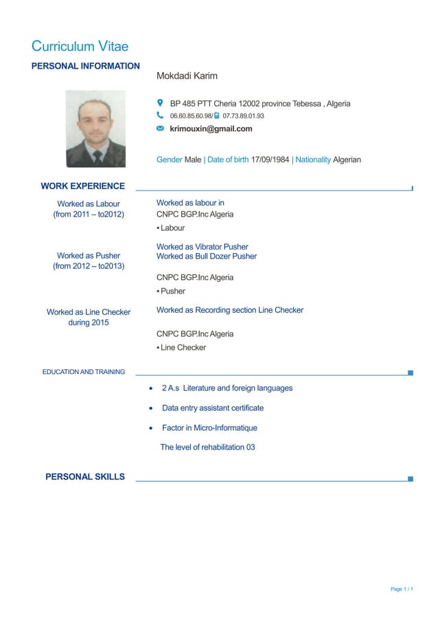 Cv template | PDF