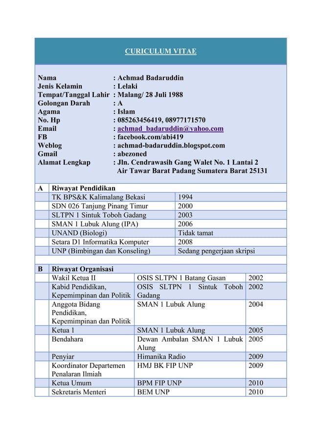 Curiculum Vitae: Achmad Badaruddin | PDF