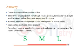 COLOUR VISION AND TEST'S by Optom. Jithin Johney | PPTX