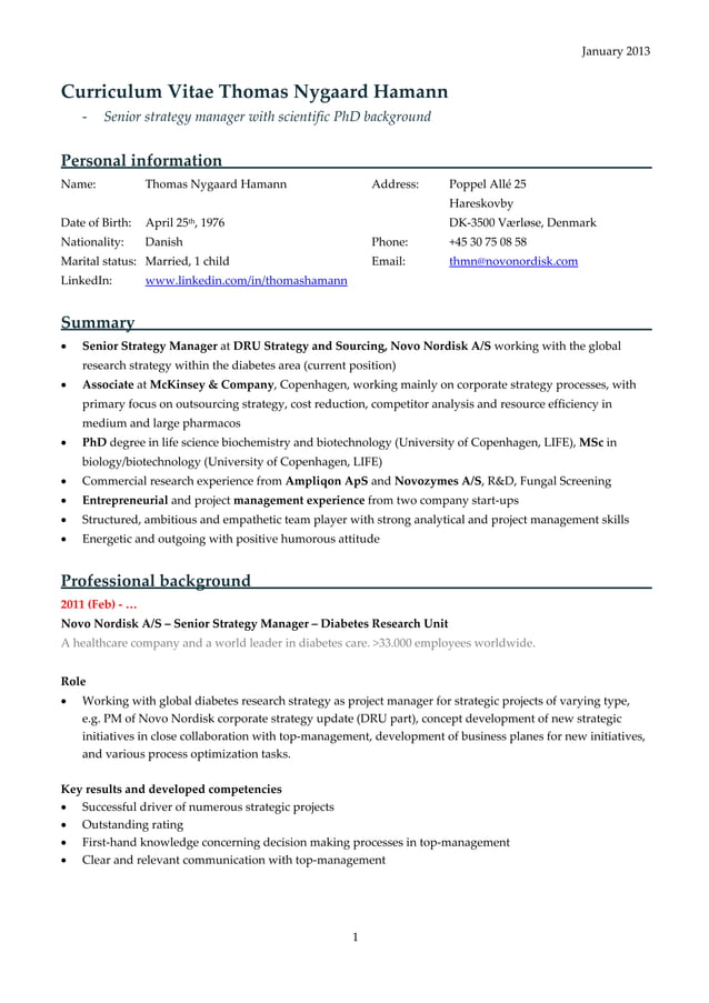 CV Thomas Nygaard Hamann 2013 | PDF