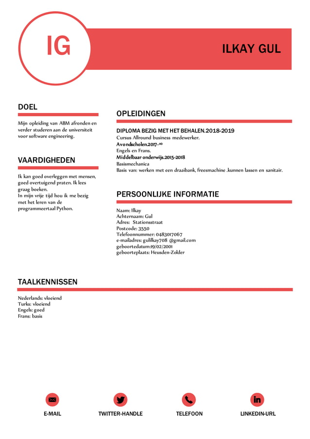 Cv van Ilkay Gul | DOCX