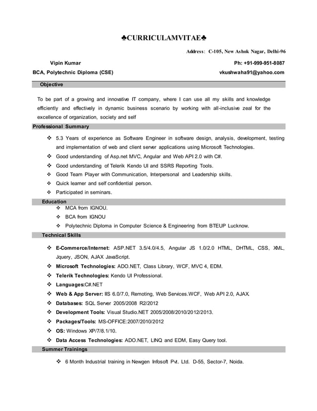 Cv vipin | PDF
