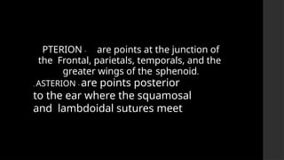 SKULL.pptx it is a ppt of skull useful for radiology | PPTX