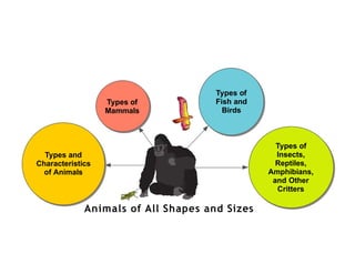 CVWP-Animals-of-All-Shapes-and-Sizes-Bundle.pptx