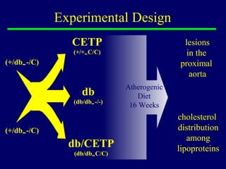 108 cetp expression | PPT
