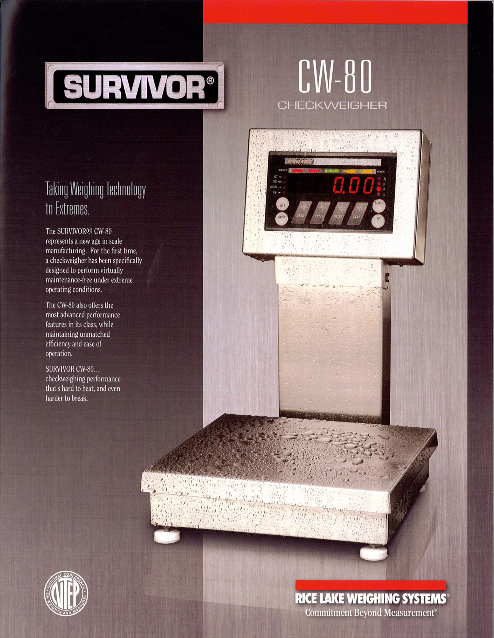 Cw 80 Checkweigher Brochure | PDF