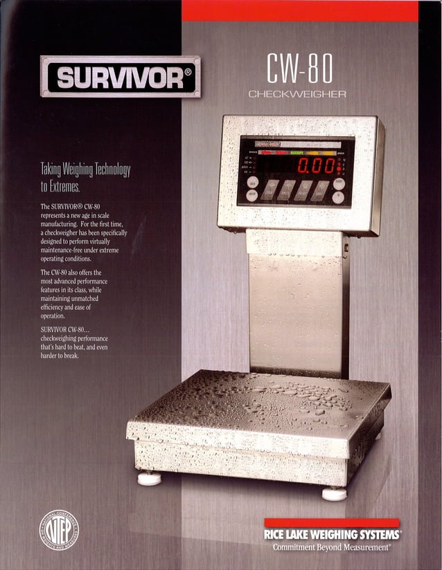 Cw 80 Checkweigher Brochure | PDF