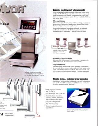 Cw 80 Checkweigher Brochure | PDF