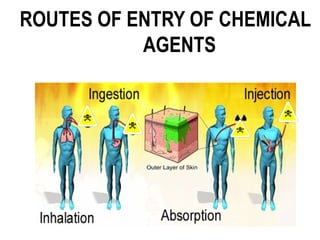 ChemicalWarfareAgentsPhysicalProtection.pptx