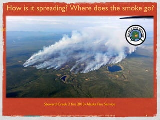 Remote Sensing of Wildfires - Why and How? | PDF