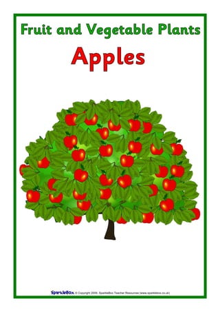 Healthy food vegetables | PDF