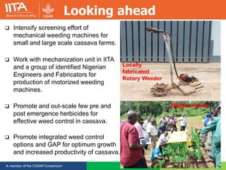 Cassava Weed Management Project Progress Presentation | PPTX
