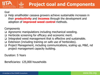 Cassava Weed Management Project Progress Presentation | PPTX