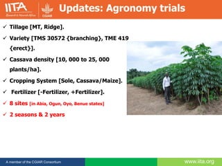 Cassava Weed Management Project Progress Presentation | PPTX